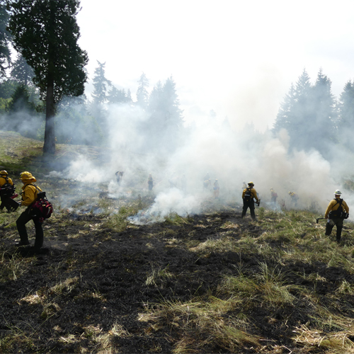 Burn Ban Guide - East Jefferson Fire Rescue